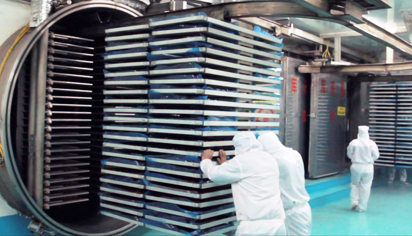 Freeze-Dried Production | Chaucer Foods Ltd