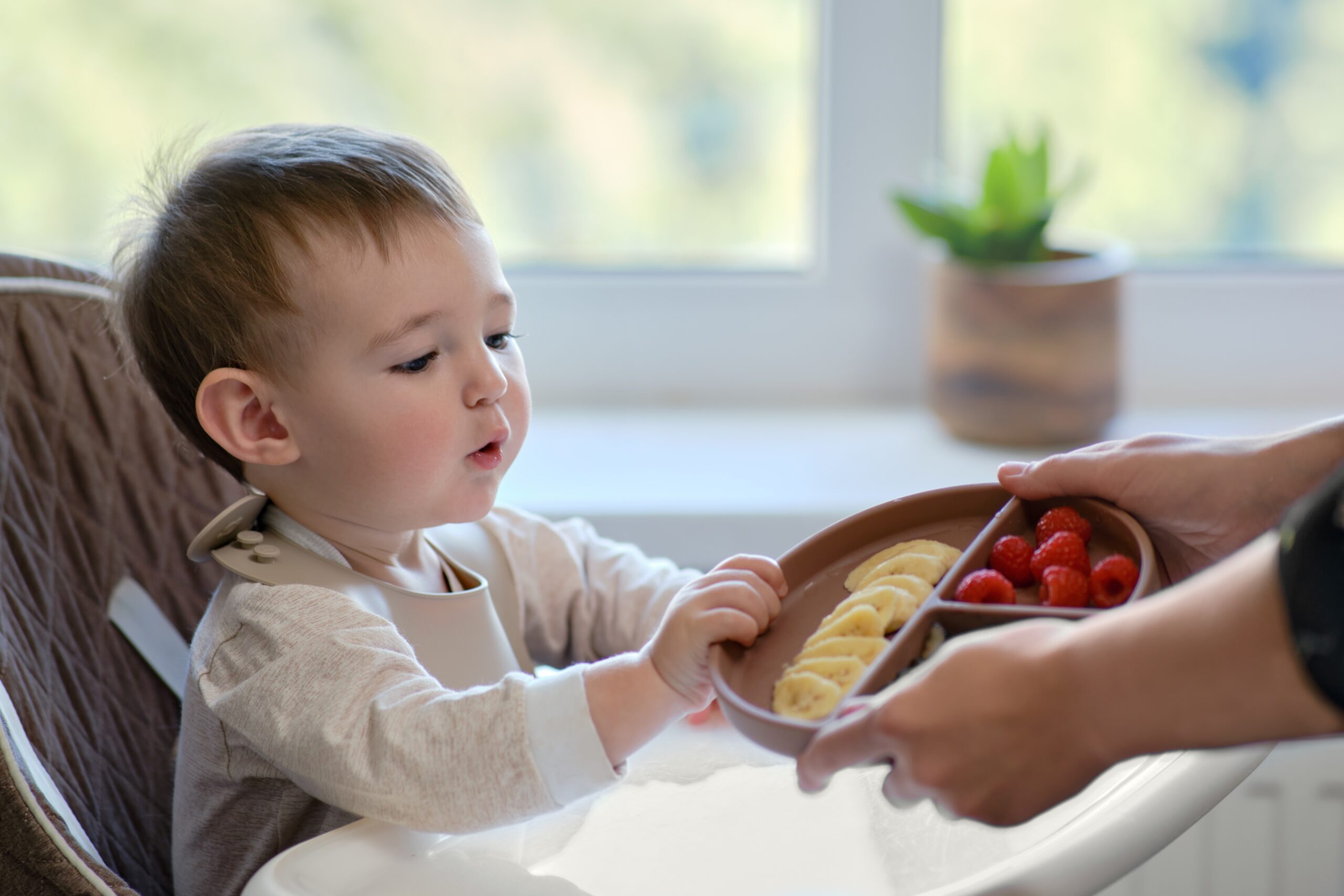 Kid-Friendly Nutrition That Even Fussy Eaters Will Love - Chaucer Foods